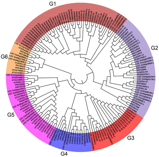 Characterization of the Salt Overly Sensitive 1 (SOS1) Pathway Genes in ...