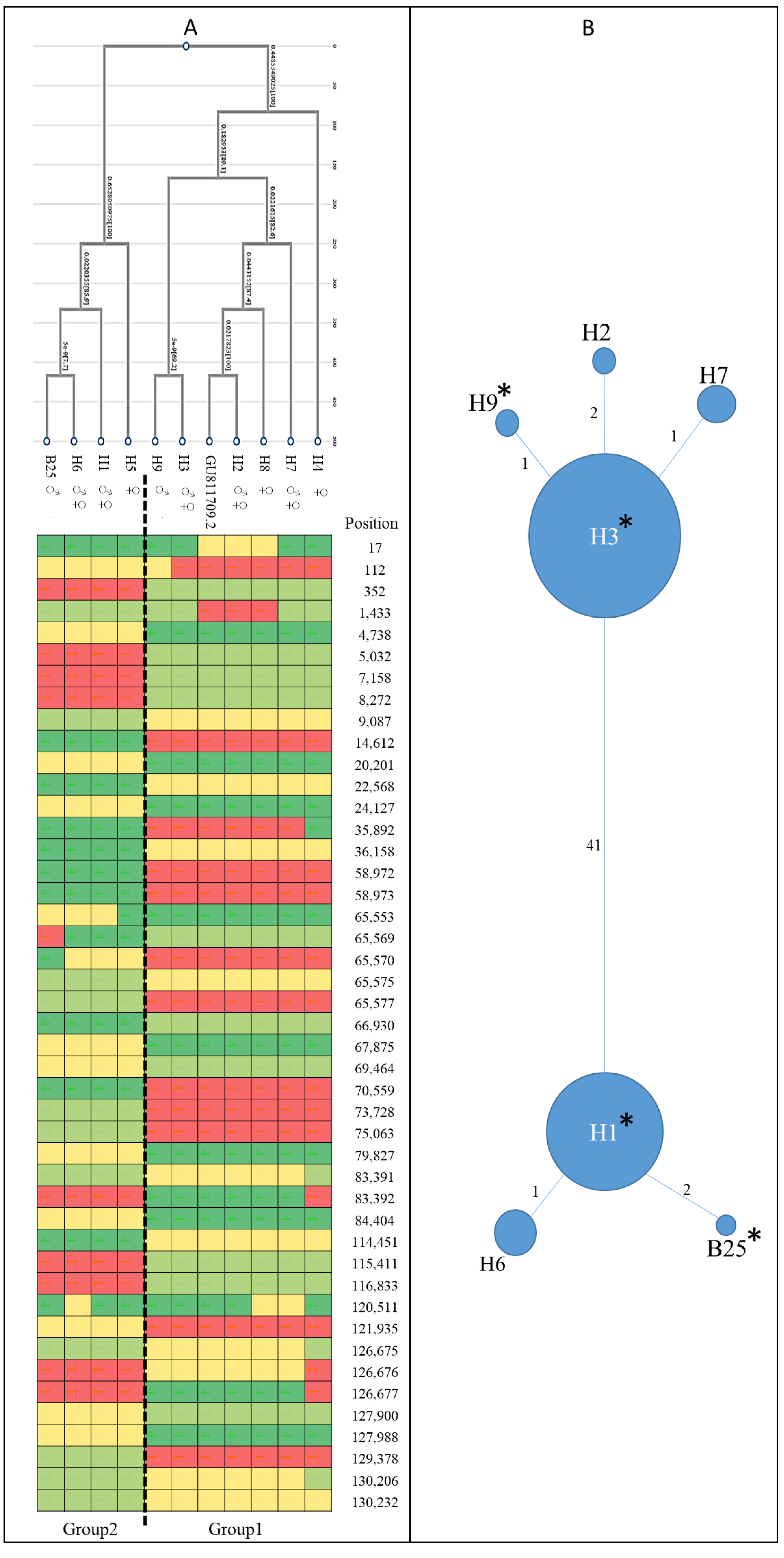 Male Date Palm Chlorotype Selection Based on Fertility, Metaxenia, and ...
