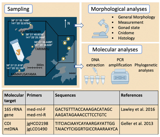 Hydrobiology | An Open Access Journal from MDPI