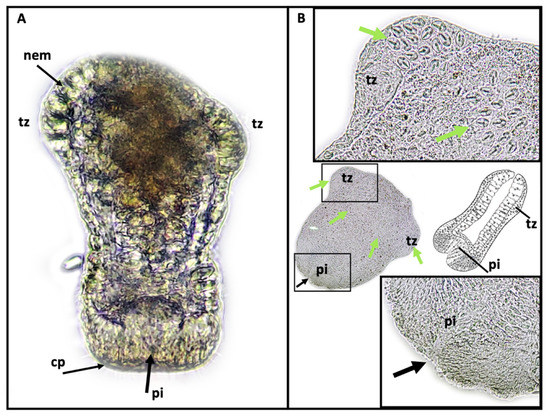 Hydrobiology | An Open Access Journal from MDPI