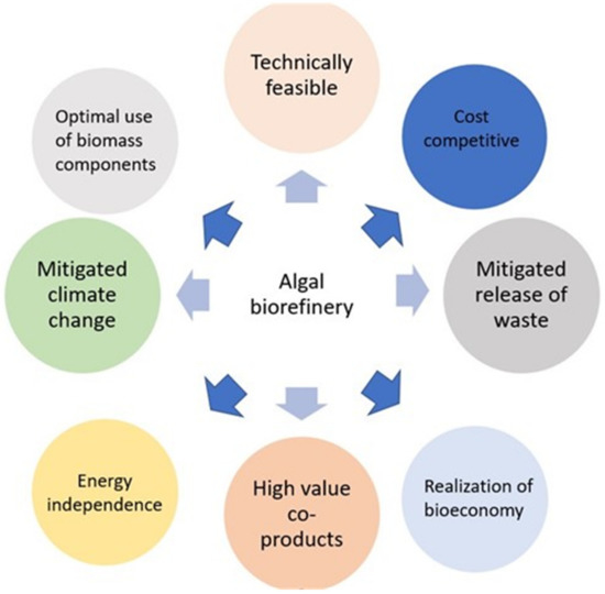 Implementation and Optimization of Algal Biomass in Value-Added ...