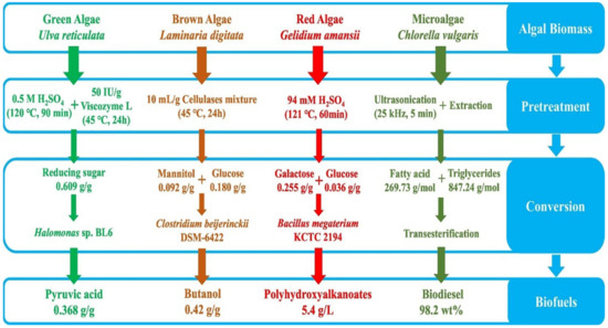 Implementation and Optimization of Algal Biomass in Value-Added ...