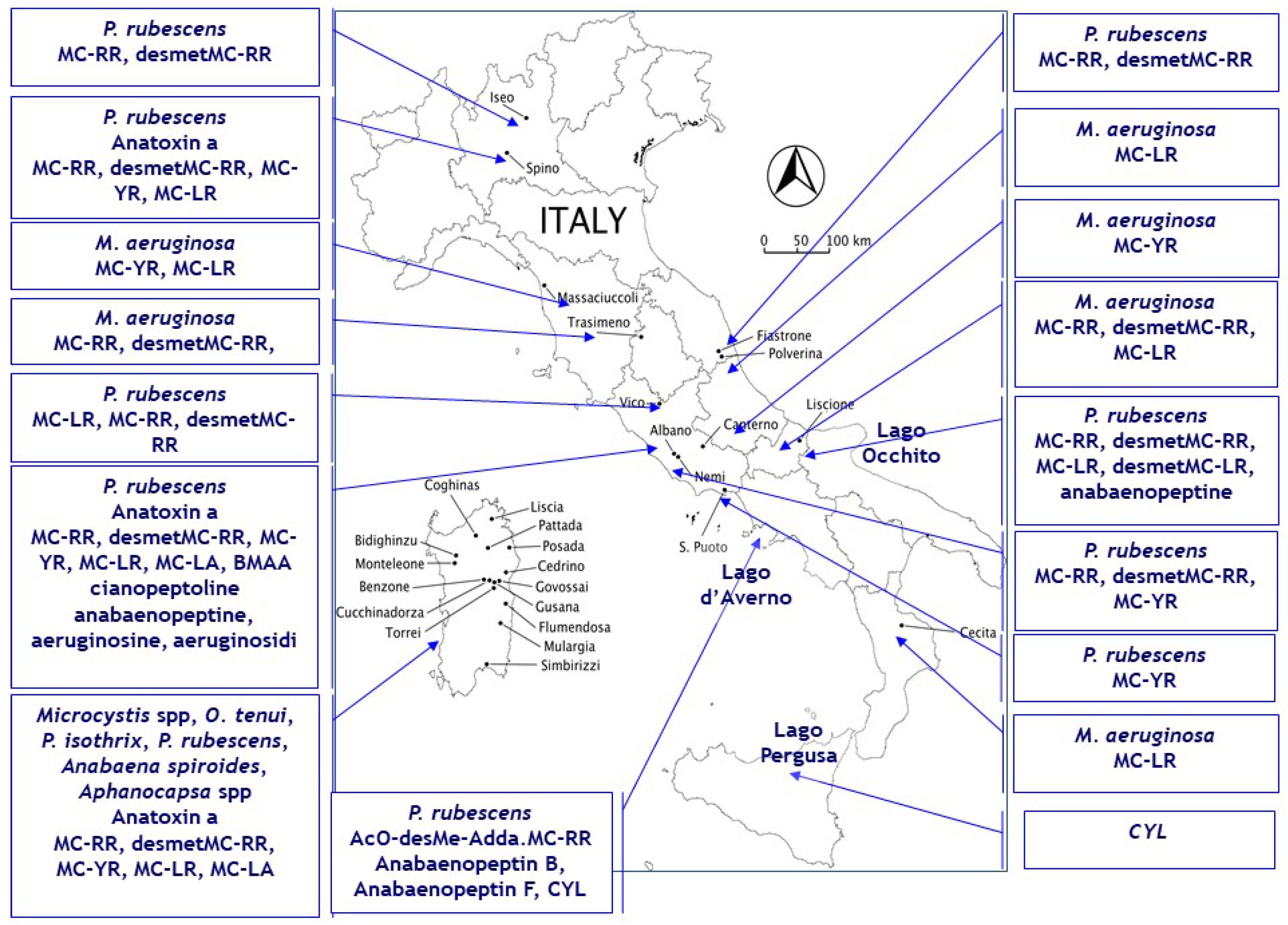 The Role of Cyano-HAB (Cyanobacteria Harmful Algal Blooms) in the One ...