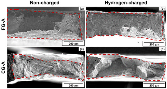 Hydrogen-Induced Intergranular Fracture Behavior Accelerated by Needle ...