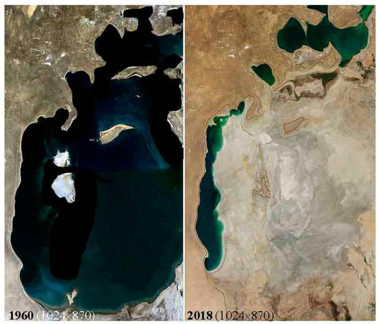 Hydrological Model for Sustainable Development in the Aral Sea Region