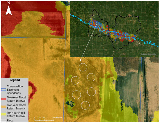Influence of Floodplain Forest Structure on Overbank Sediment and ...