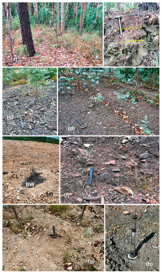 Hydropedological Characterization of a Coal Mining Waste Deposition Area Affected by Self-Burning