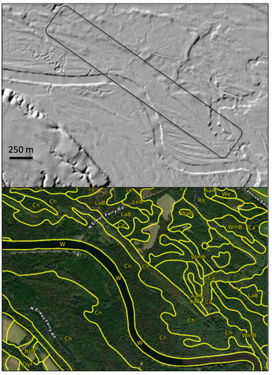 River Meanders, Tributary Junctions, and Antecedent Morphology