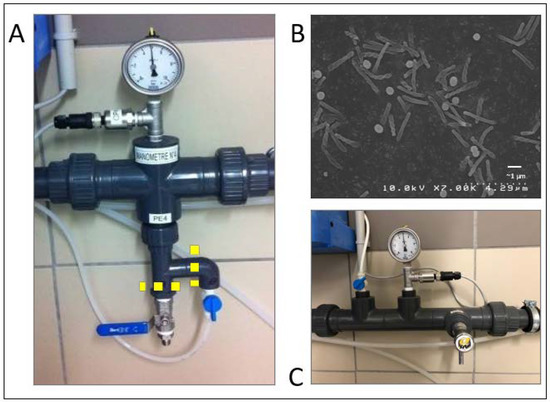 Hygiene | An Open Access Journal from MDPI