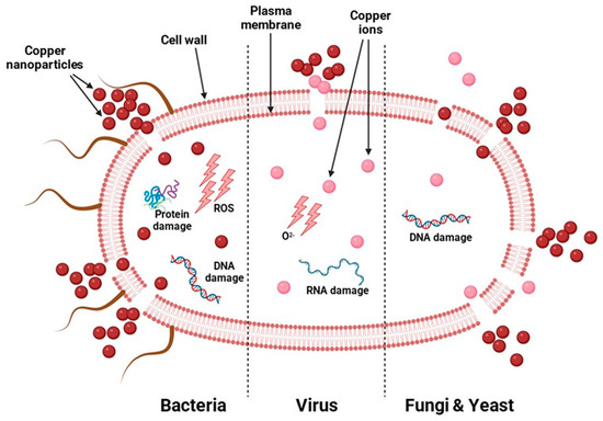 Antimicrobial Nanomaterials: A Review