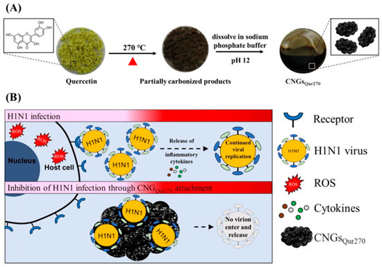 Antimicrobial Nanomaterials: A Review