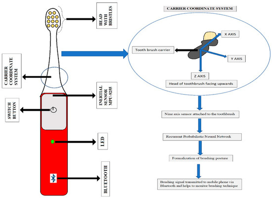 Artificial-Intelligence-Based Smart Toothbrushes for Oral Health and ...