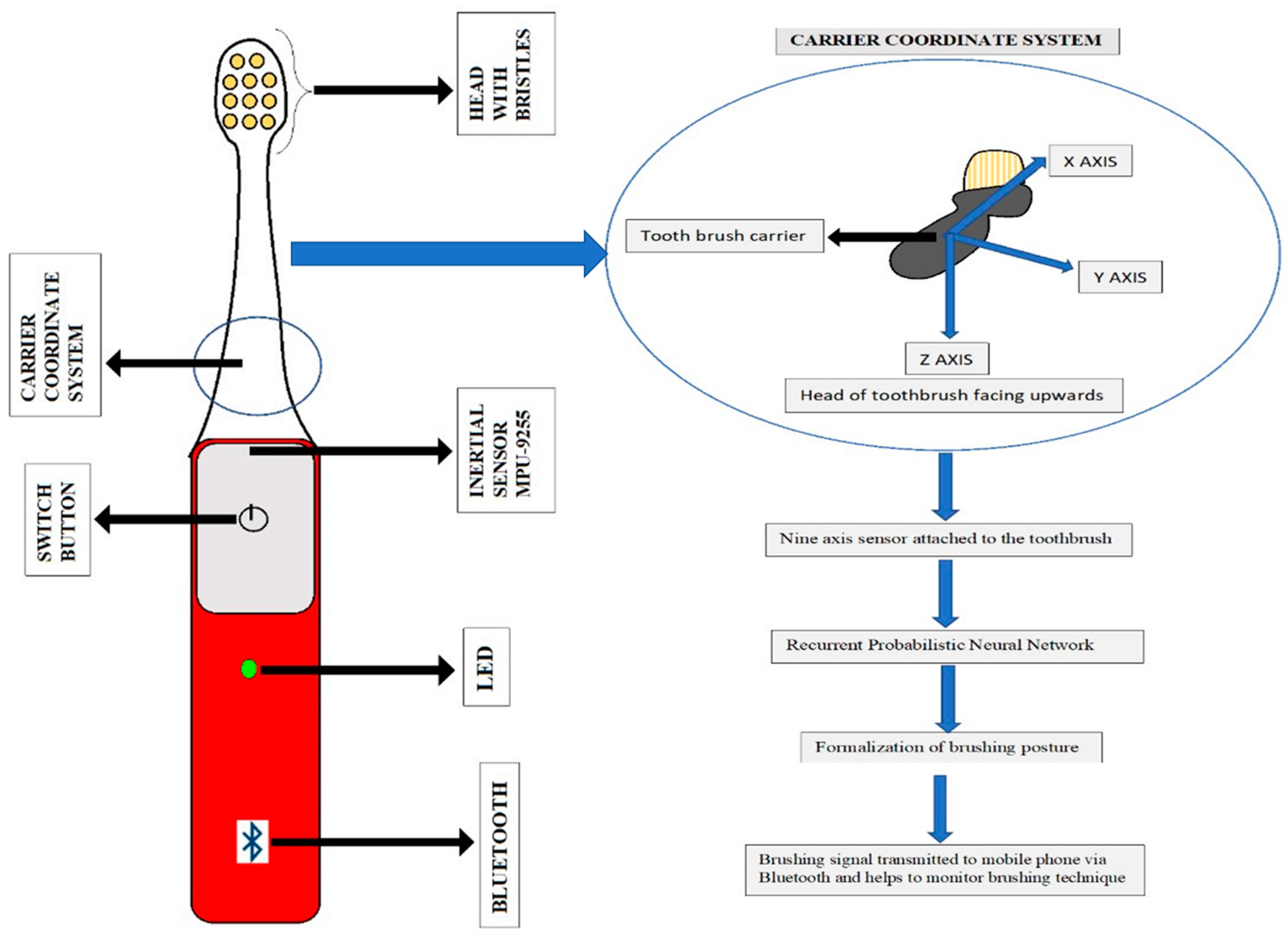Artificial-Intelligence-Based Smart Toothbrushes for Oral Health and ...