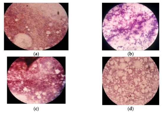 Infectious Disease Reports | An Open Access Journal from MDPI