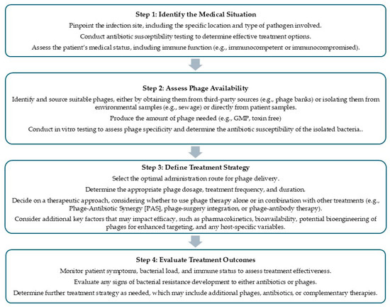 Advancing Phage Therapy: A Comprehensive Review of the Safety, Efficacy ...
