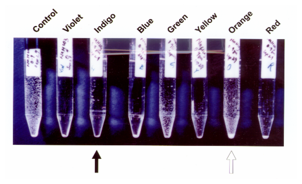 IJERPH | Free Full-Text | Evidence for Alteration in Chemical and ...