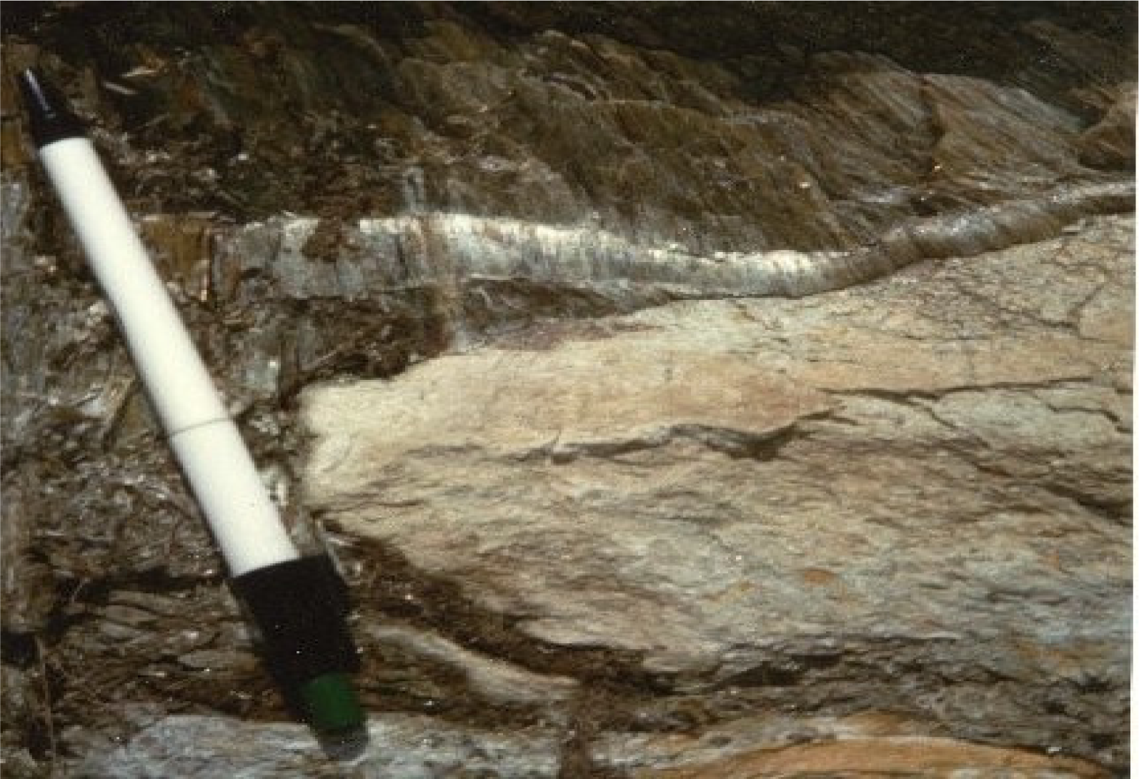 Toxicity and Carcinogenicity Mechanisms of Fibrous Antigorite