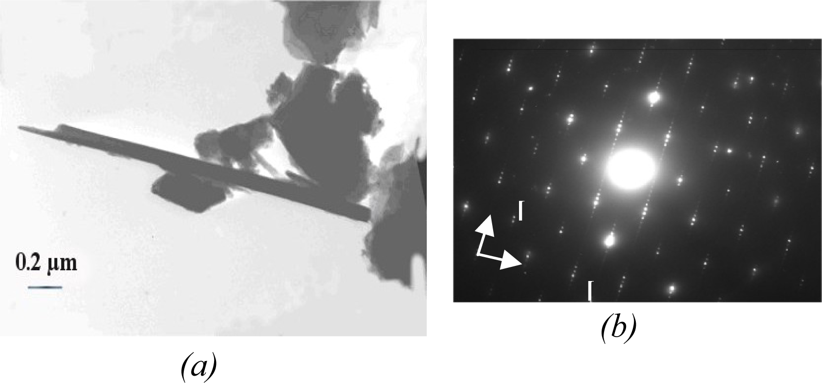 Toxicity and Carcinogenicity Mechanisms of Fibrous Antigorite