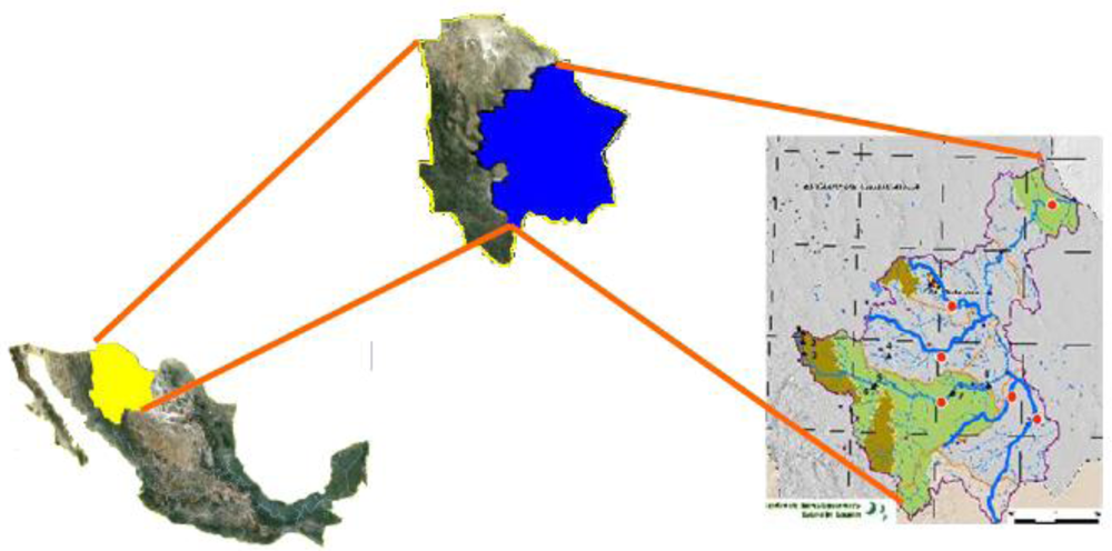 Contamination of the Conchos River in Mexico: Does It Pose a Health ...