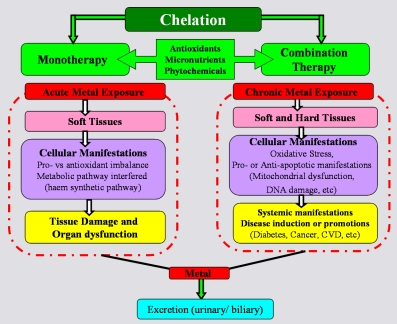 IJERPH | Free Full-Text | Chelation in Metal Intoxication