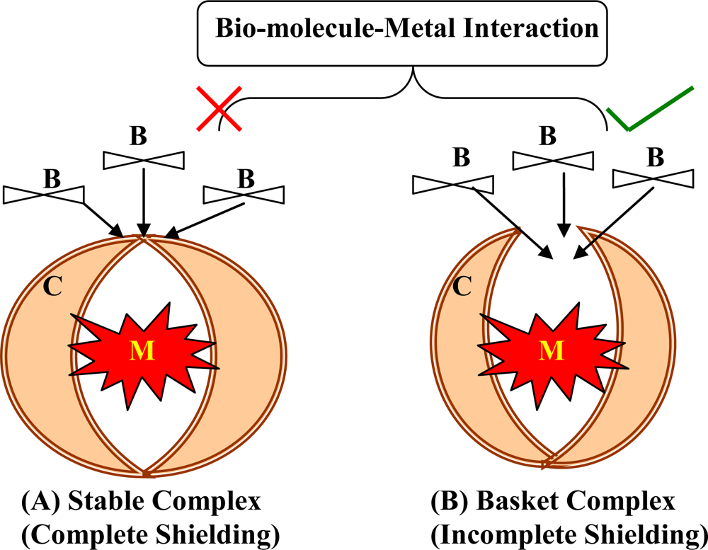 Chelation in Metal Intoxication
