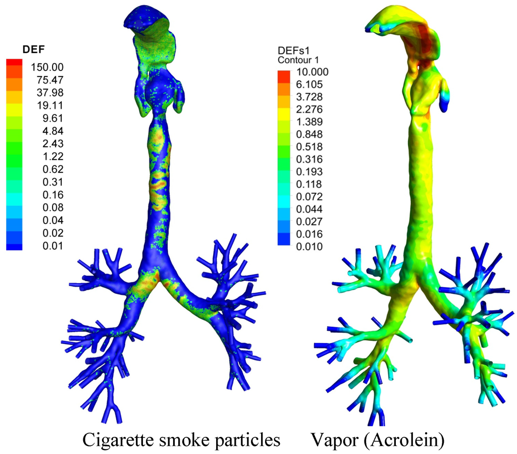 IJERPH | Free Full-Text | Lung Deposition Analyses of Inhaled Toxic ...