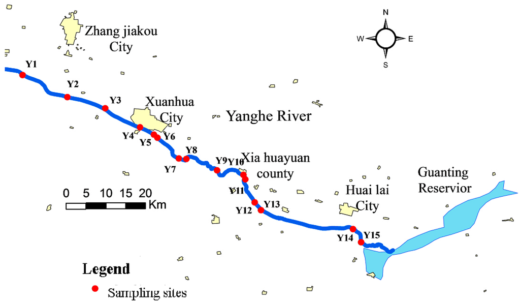 Risk Assessment of Heavy Metals in Surface Sediments from the Yanghe ...