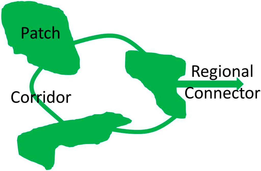 Green Infrastructure, Ecosystem Services, and Human Health