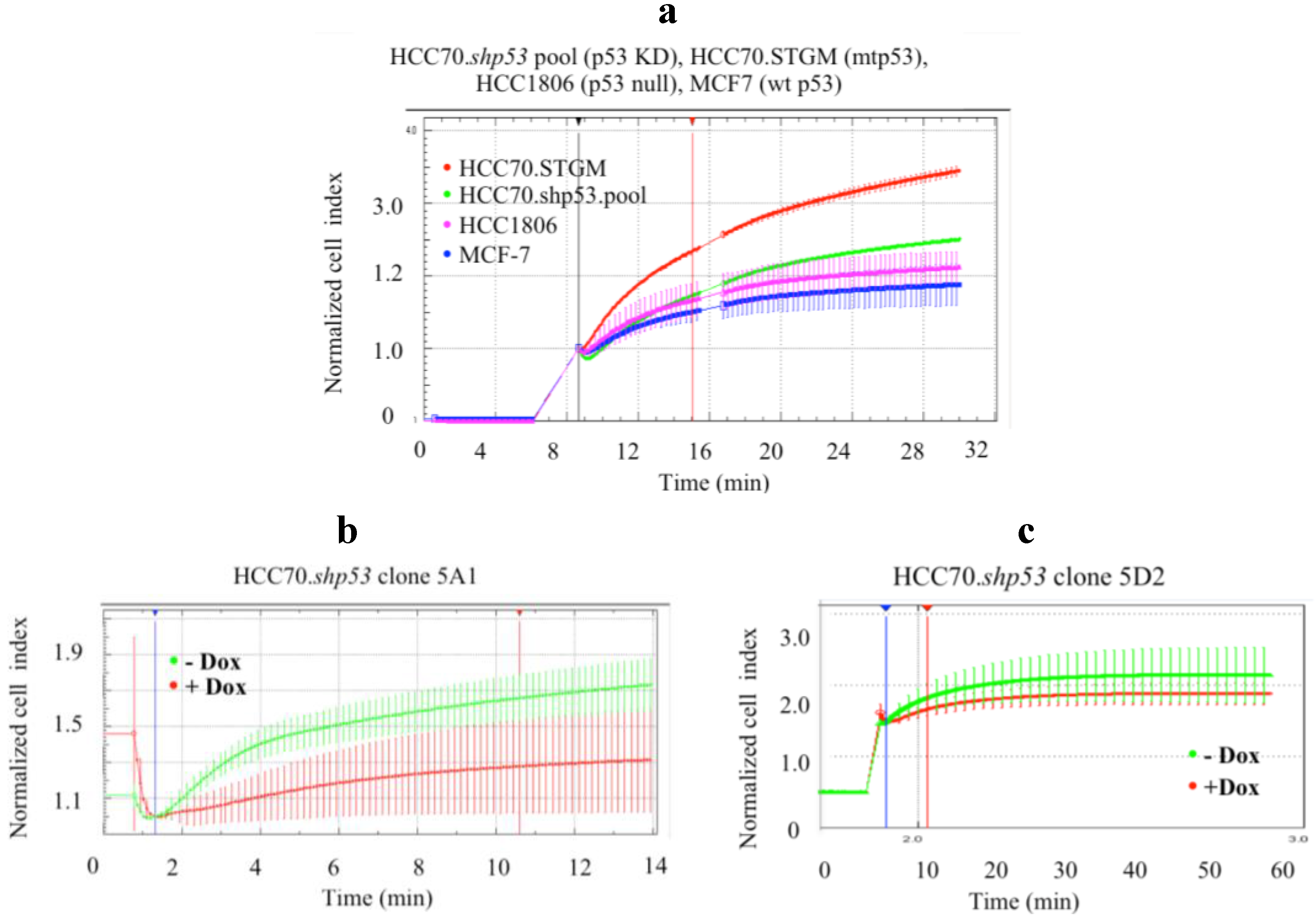 Hot Spot Mutation in TP53 (R248Q) Causes Oncogenic Gain-of-Function ...