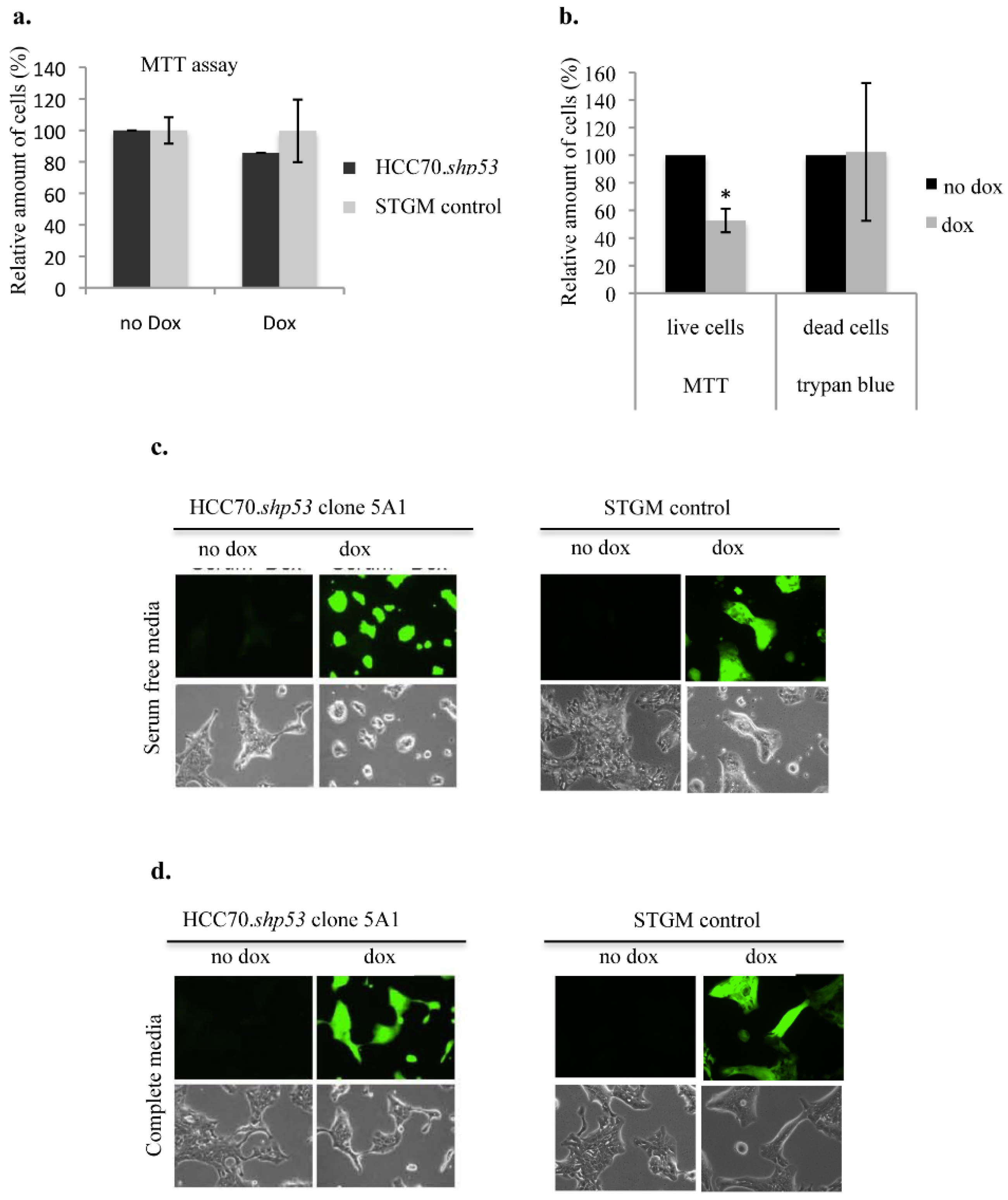 Hot Spot Mutation in TP53 (R248Q) Causes Oncogenic Gain-of-Function ...
