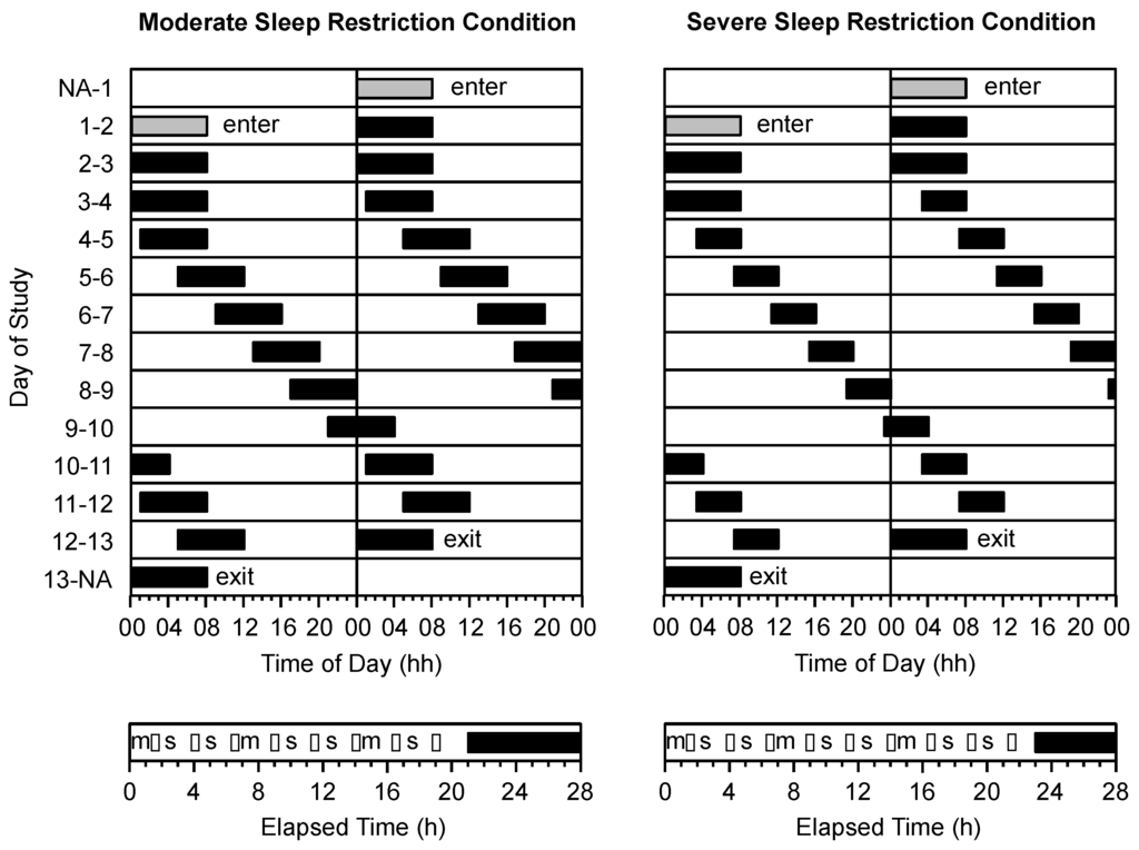 IJERPH | Free Full-Text | Daily Rhythms of Hunger and Satiety in ...