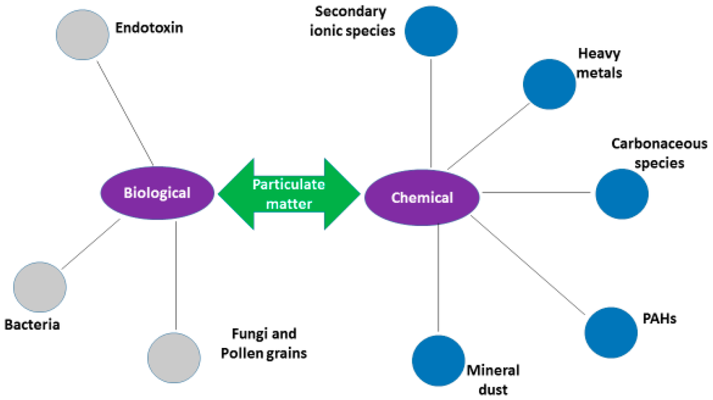 IJERPH | Free Full-Text | Health Outcomes of Exposure to Biological and ...