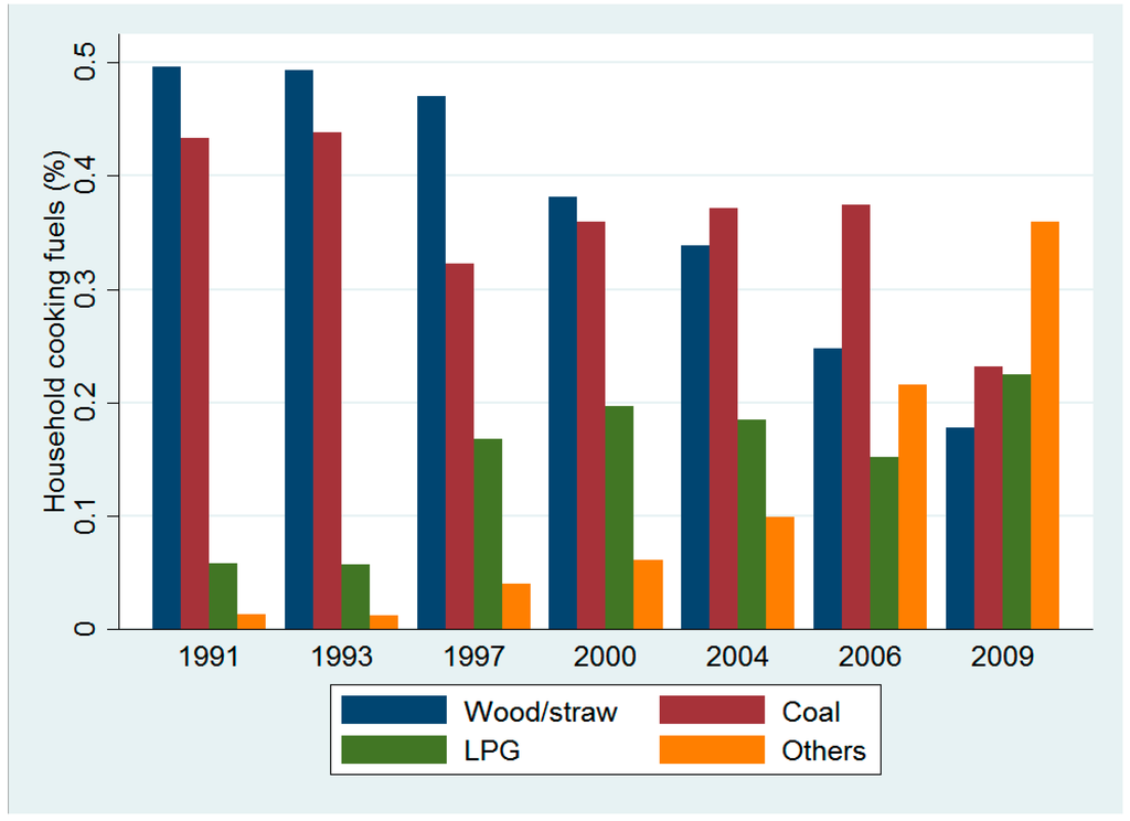 Fuel for Life: Domestic Cooking Fuels and Women’s Health in Rural China