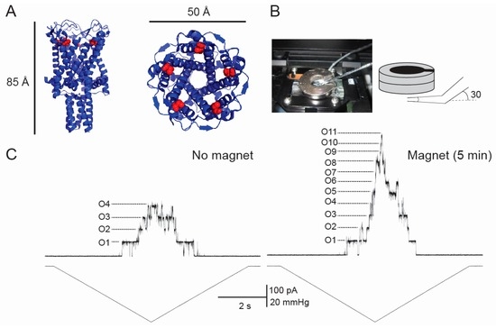 Bioelectromagnetics Research within an Australian Context: The ...