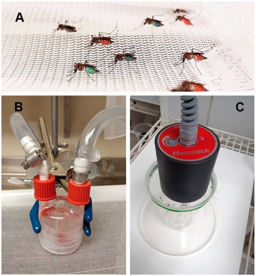 IJERPH | Special Issue : Mosquito Control Innovations into The 21st Century