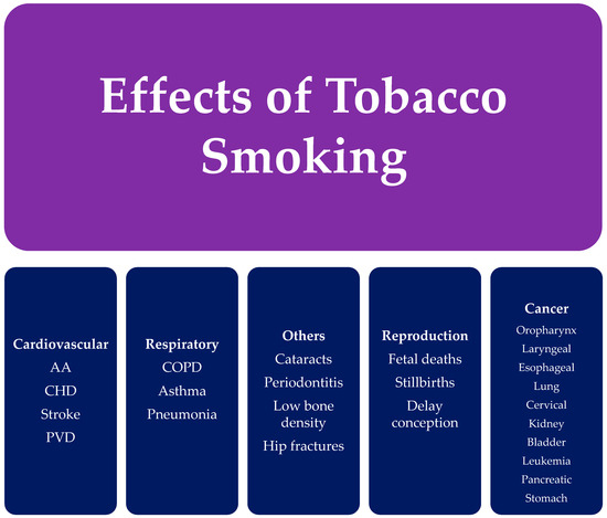 Cigarette Smoking Effects