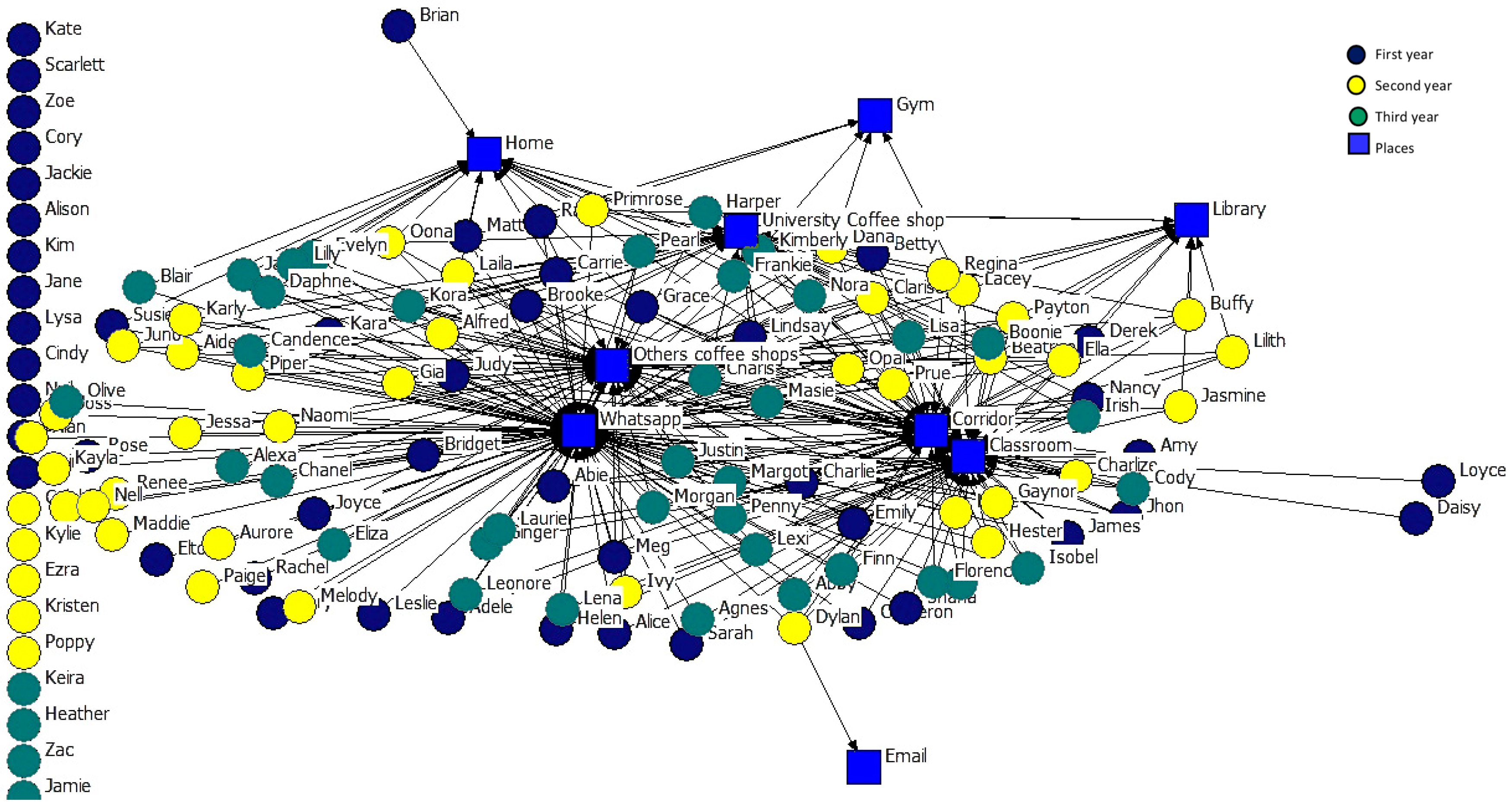 Social Networks, Engagement and Resilience in University Students