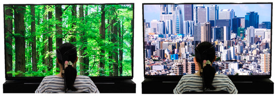 Physiological Effects of Visual Stimulation with Forest Imagery