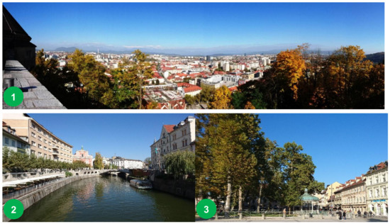 Modern Compact Cities: How Much Greenery Do We Need?