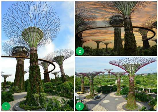 Modern Compact Cities: How Much Greenery Do We Need?