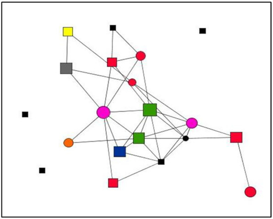 Personal Network Analysis in the Study of Social Support: The Case of ...