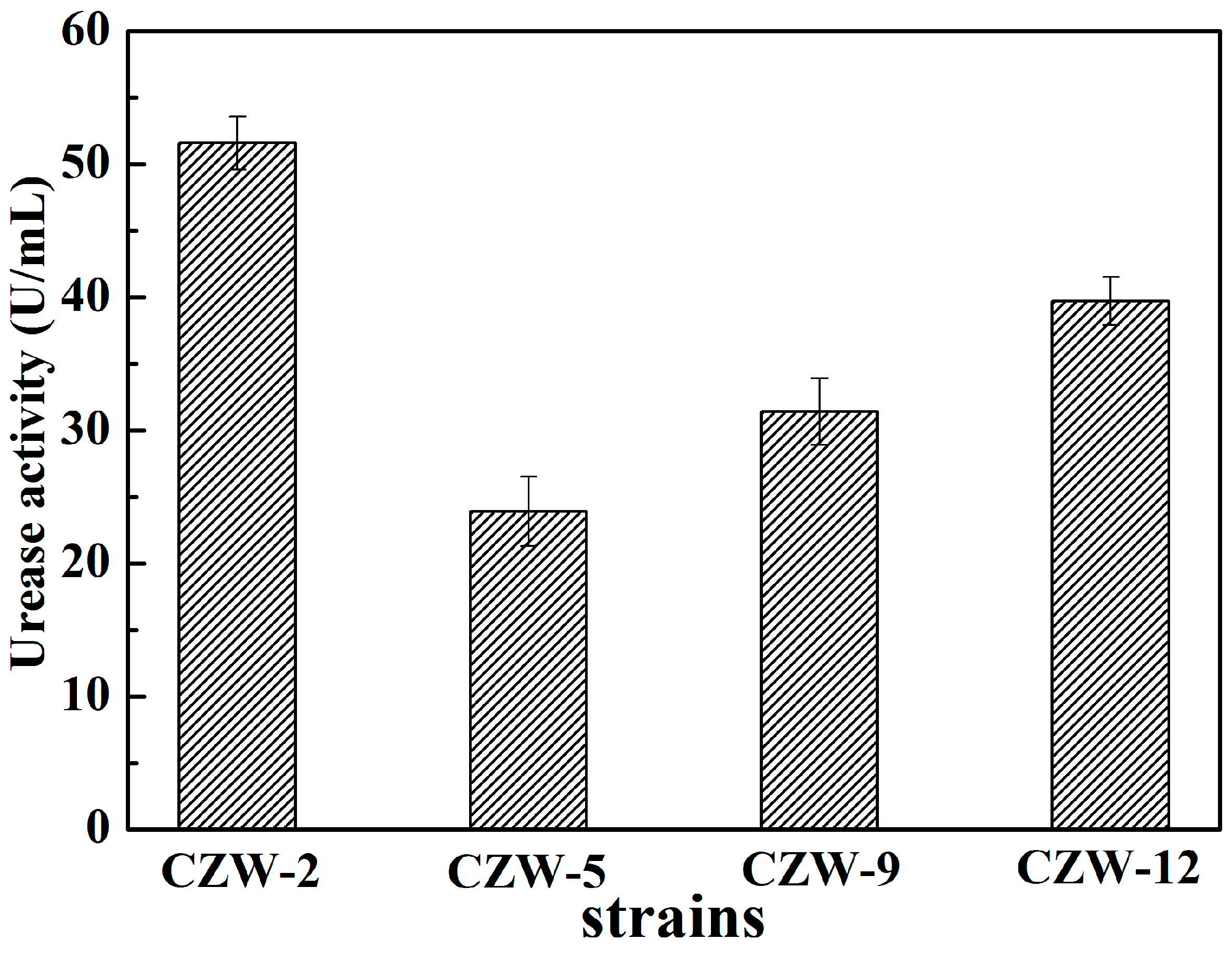 Study on the Remediation of Cd Pollution by the Biomineralization of ...