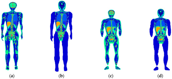 Statistical Evaluation of Radiofrequency Exposure during Magnetic ...