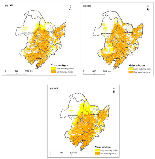Spatio-Temporal Dynamics of Maize Potential Yield and Yield Gaps in ...
