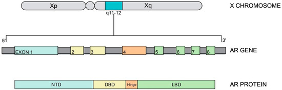 IJERPH | Free Full-Text | Different Clinical Presentations and ...