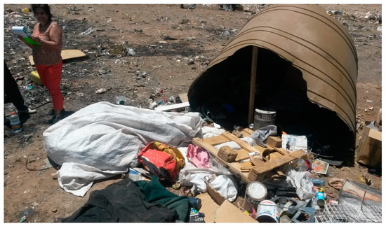 Exploring the Potential Health Risks Faced by Waste Pickers on ...