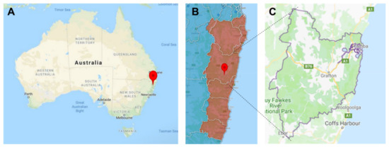 Our Healthy Clarence: A Community-Driven Wellbeing Initiative