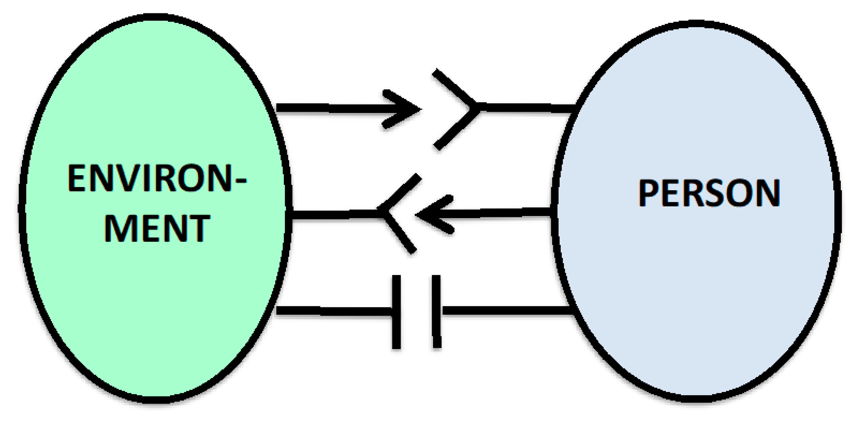 The Human Ecological Perspective and Biopsychosocial Medicine
