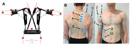 Biomechanical and Metabolic Effectiveness of an Industrial Exoskeleton ...