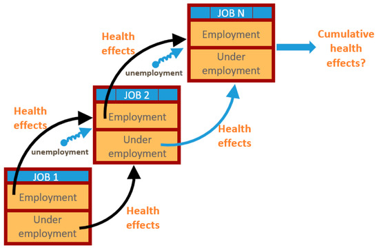 Toward an Expanded Focus for Occupational Safety and Health: A Commentary